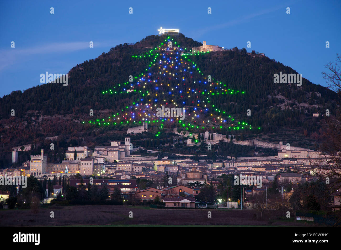 christmas tree largest in the world, gubbio, umbria, italy, europe ...