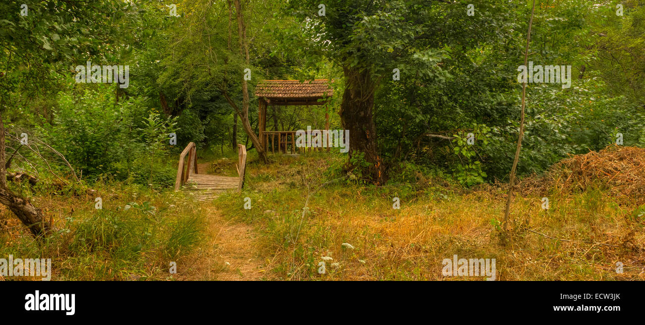 Forest in Guba Azerbaijan Stock Photo - Alamy