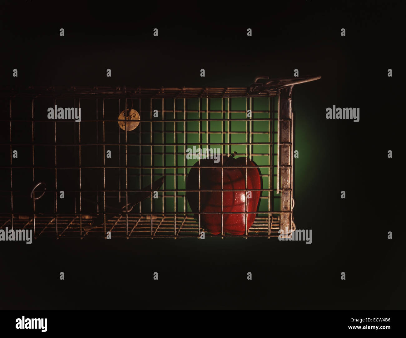 Apple in Cage Stock Photo - Alamy