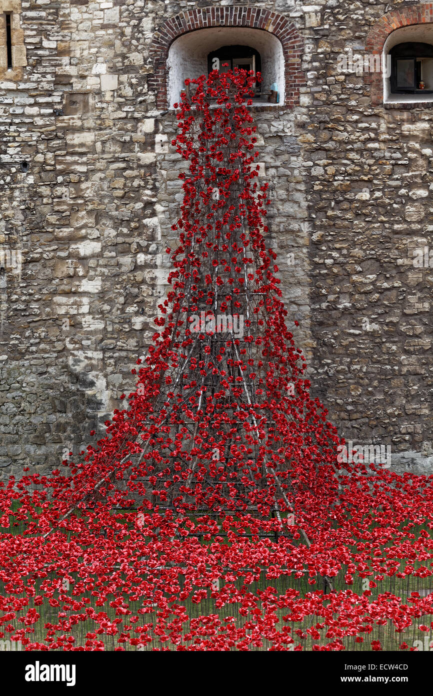 The art installation 'Blood Swept Lands and Seas of Red', at the Tower ...