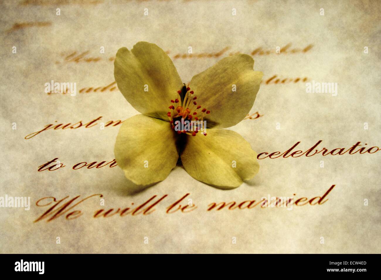 Invite invites invitation invitations hi-res stock photography and ...