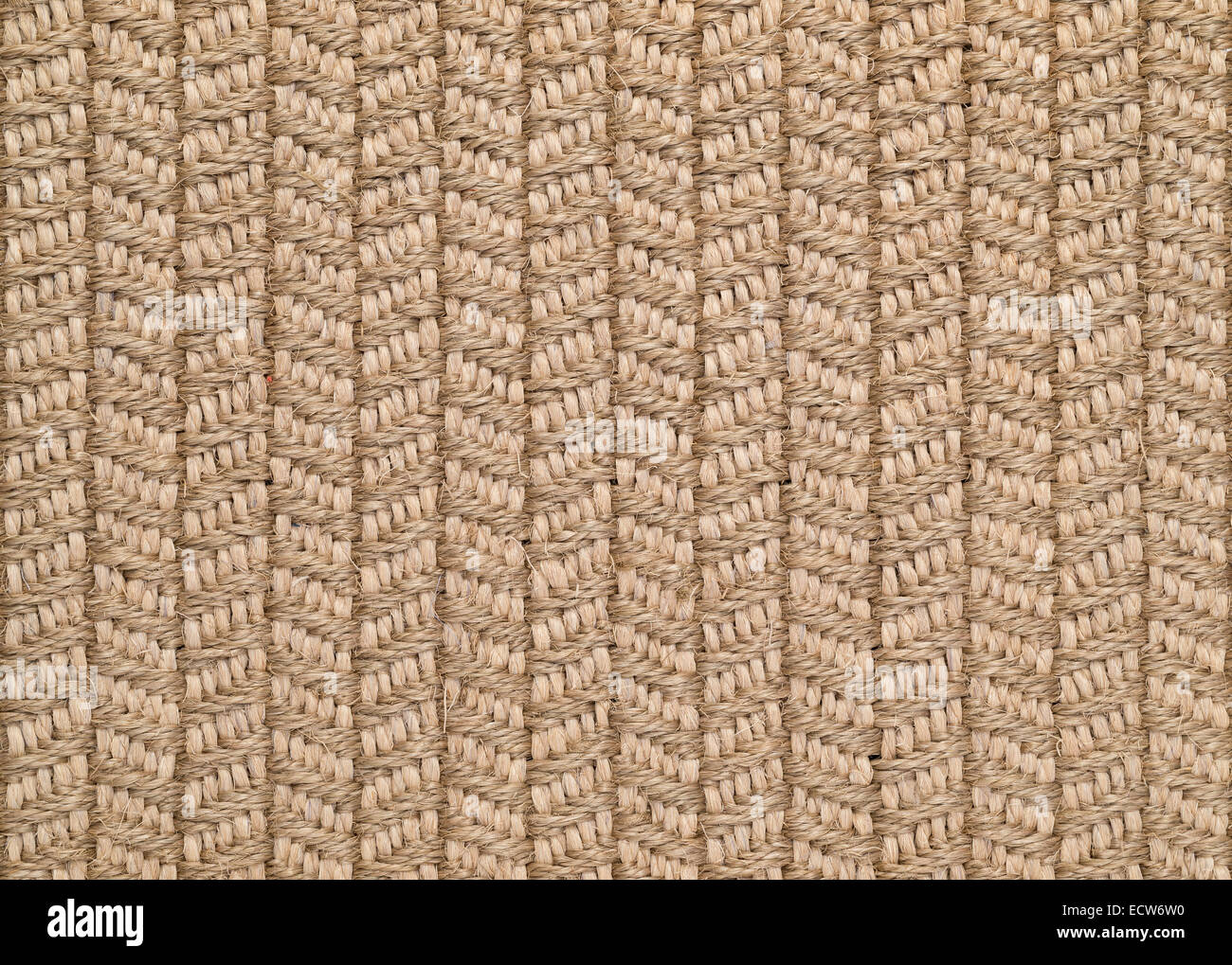 Sisal Rug Texture