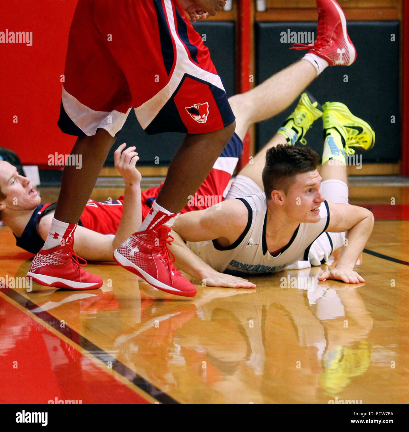 Dec. 19, 2014 - Clearwater, Florida, U.S. - JIM DAMASKE | Times.Nature ...