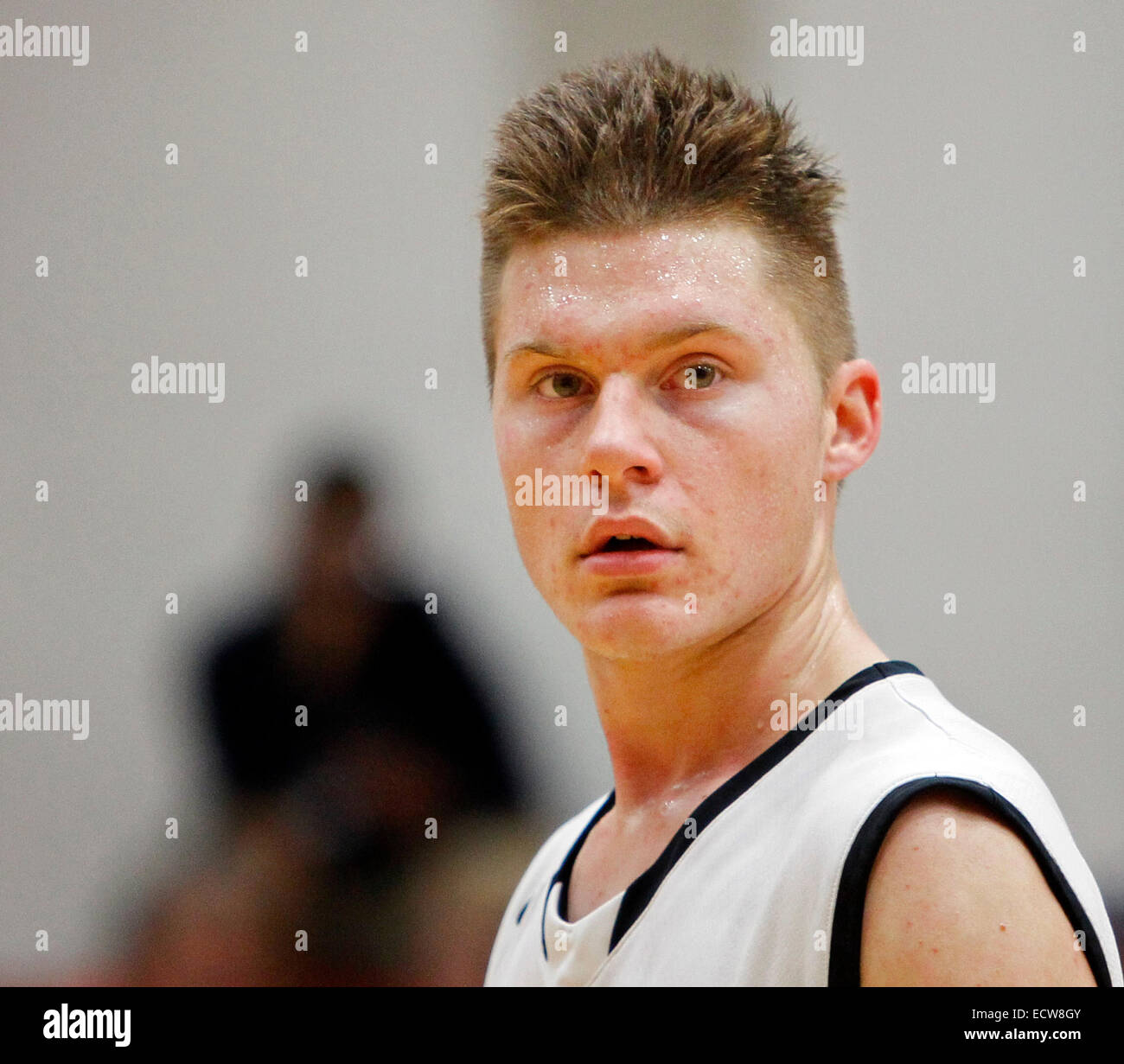 Dec. 19, 2014 - Clearwater, Florida, U.S. - JIM DAMASKE | Times.Nature ...