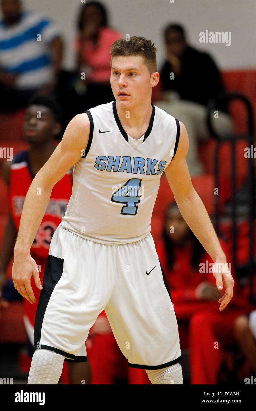 Dec. 19, 2014 - Clearwater, Florida, U.S. - JIM DAMASKE | Times.Nature ...