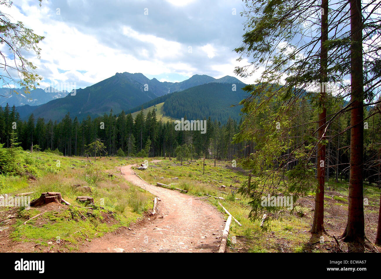 Winding rocky path on the mountain glade Stock Photo - Alamy