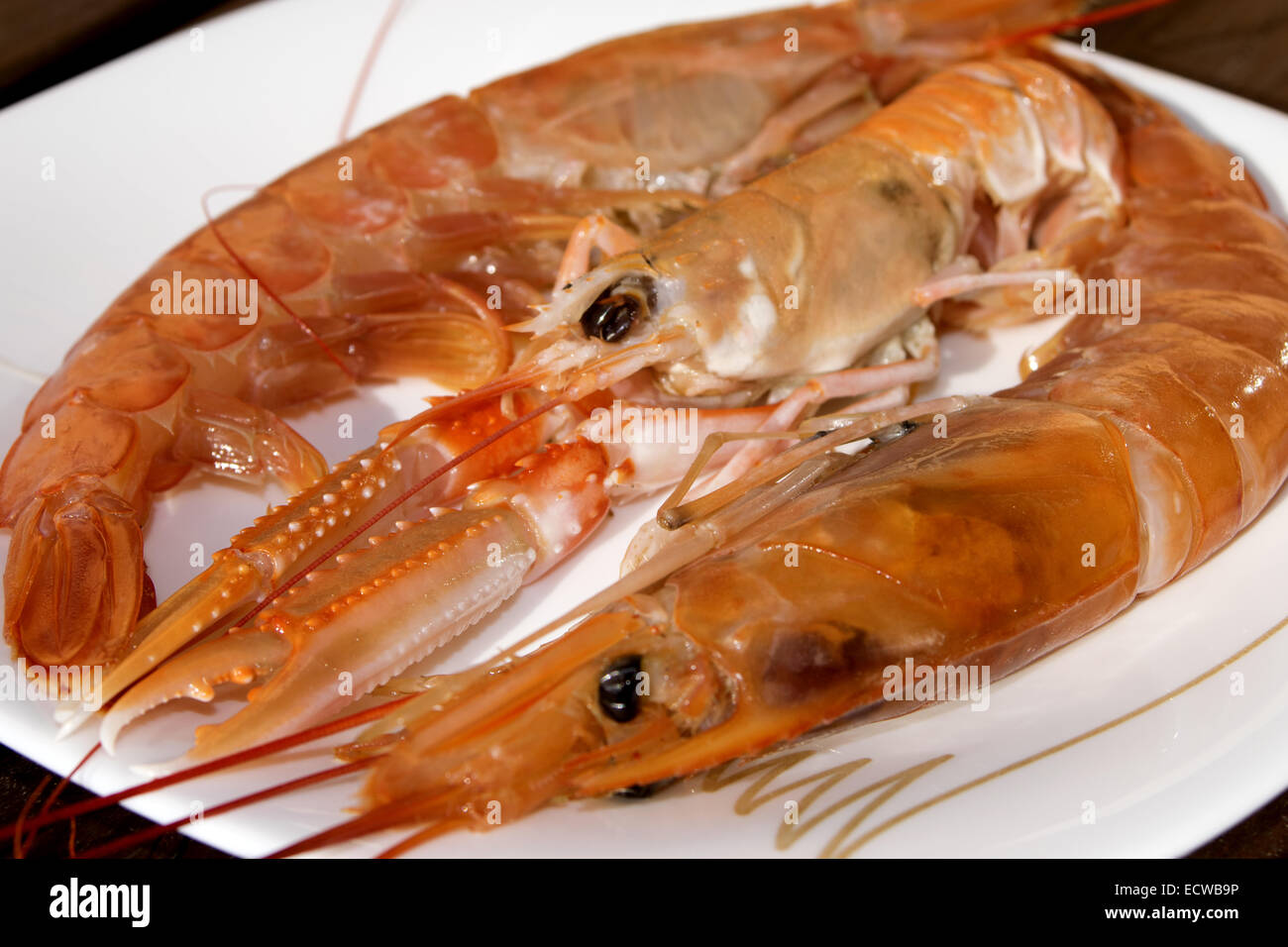 Prawns fish hi-res stock photography and images - Alamy