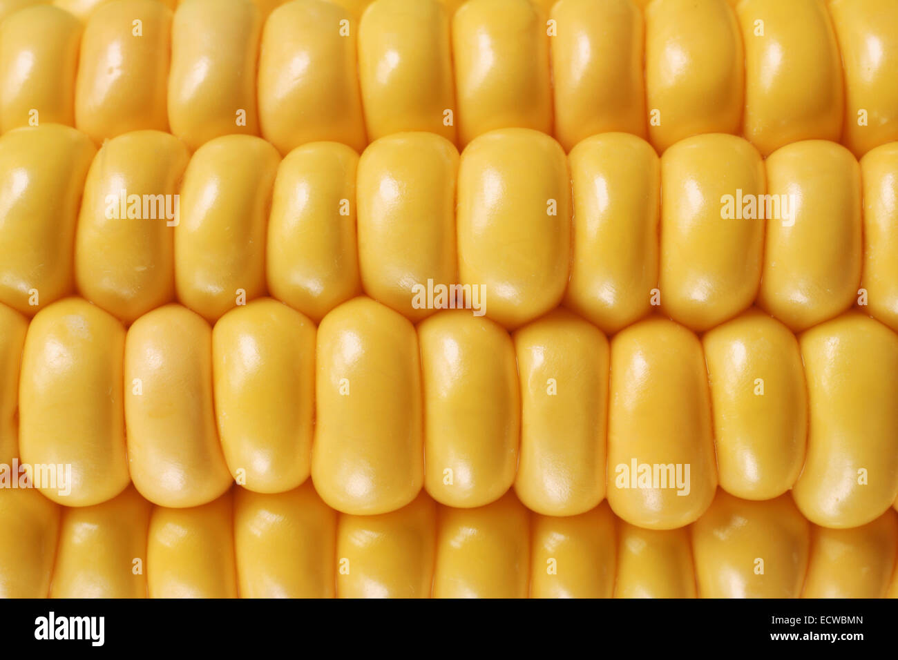 Corn on the cob kernels close up shot Stock Photo - Alamy