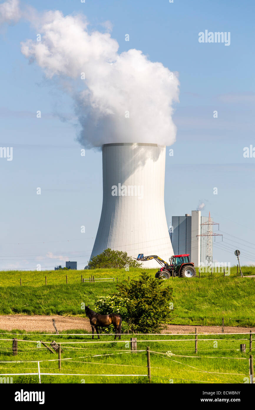 STEAG coal power plant Walsum, on the river Rhine at Duisburg, giant ...