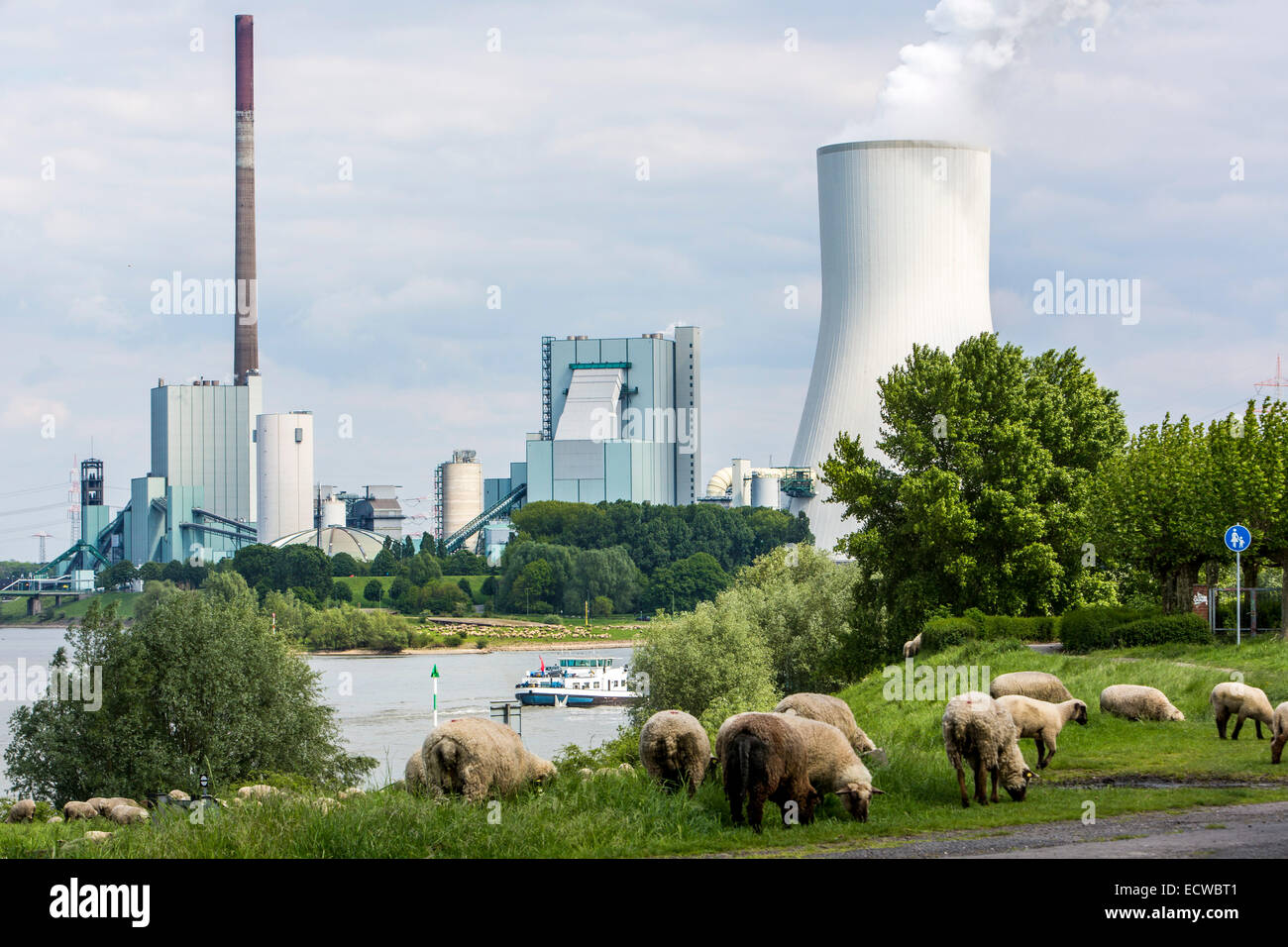 STEAG coal power plant Walsum, on the river Rhine at Duisburg, giant ...