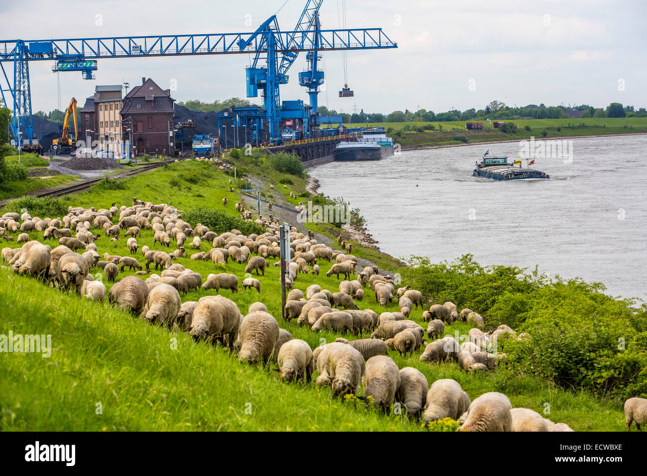 River dike hi-res stock photography and images - Alamy