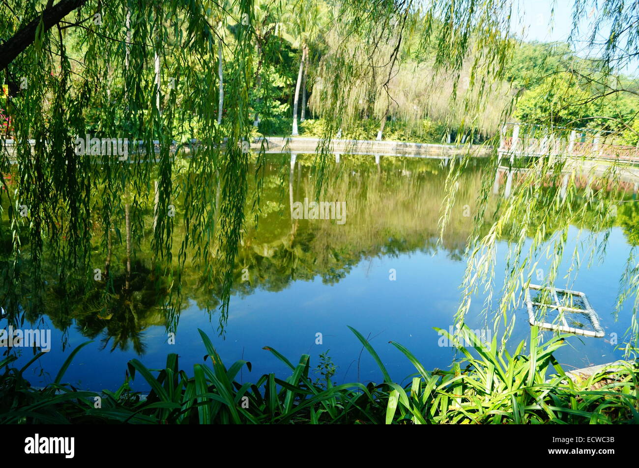 Lakes and reservoirs hi-res stock photography and images - Alamy
