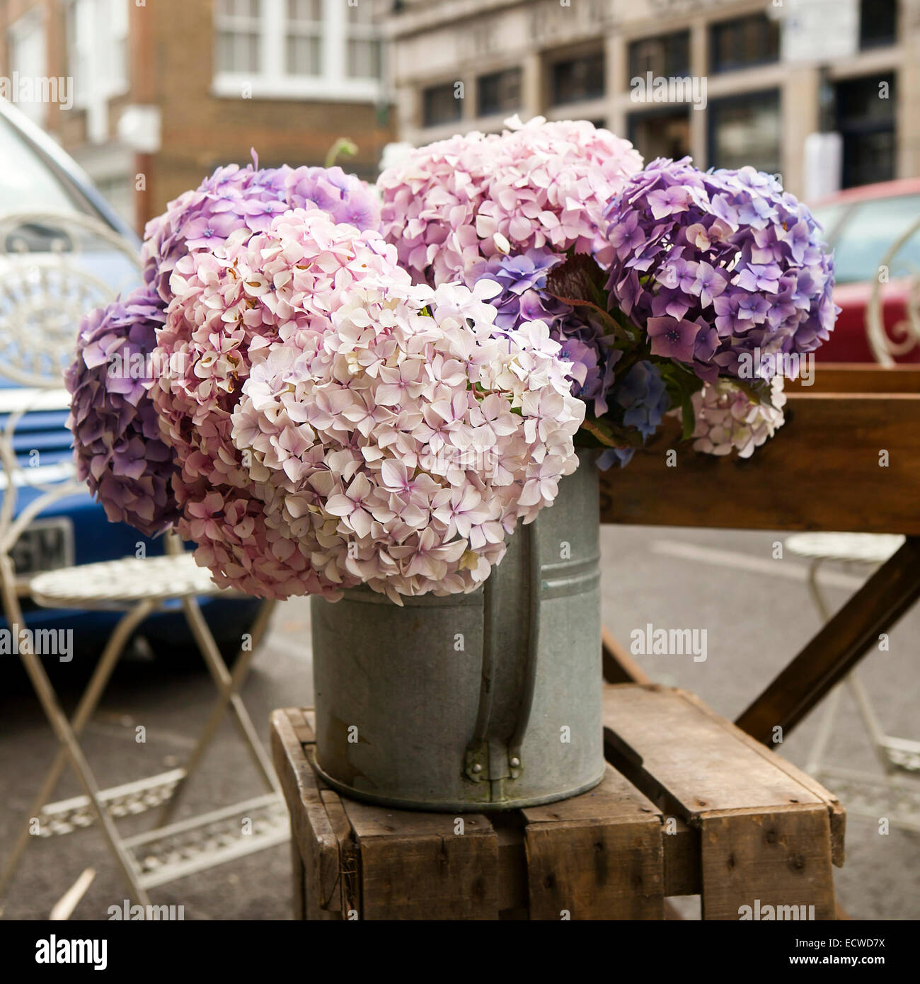 Purple Hydrangea Bouquet