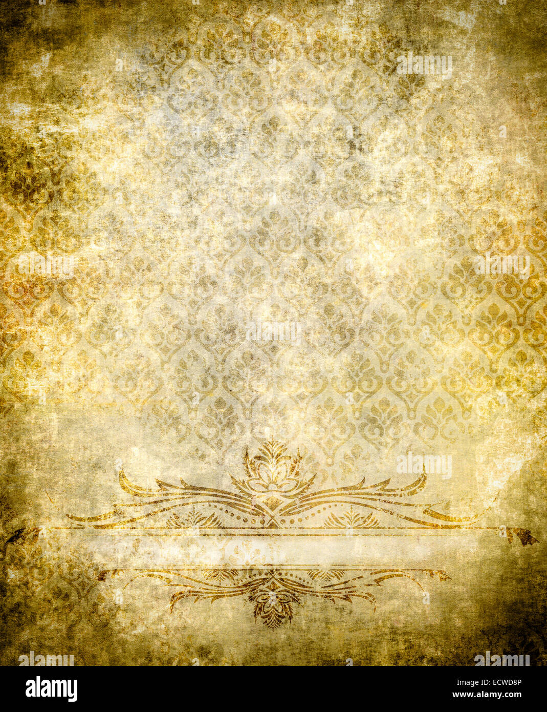 Old grunge paper background with floral patterns for the design Stock ...