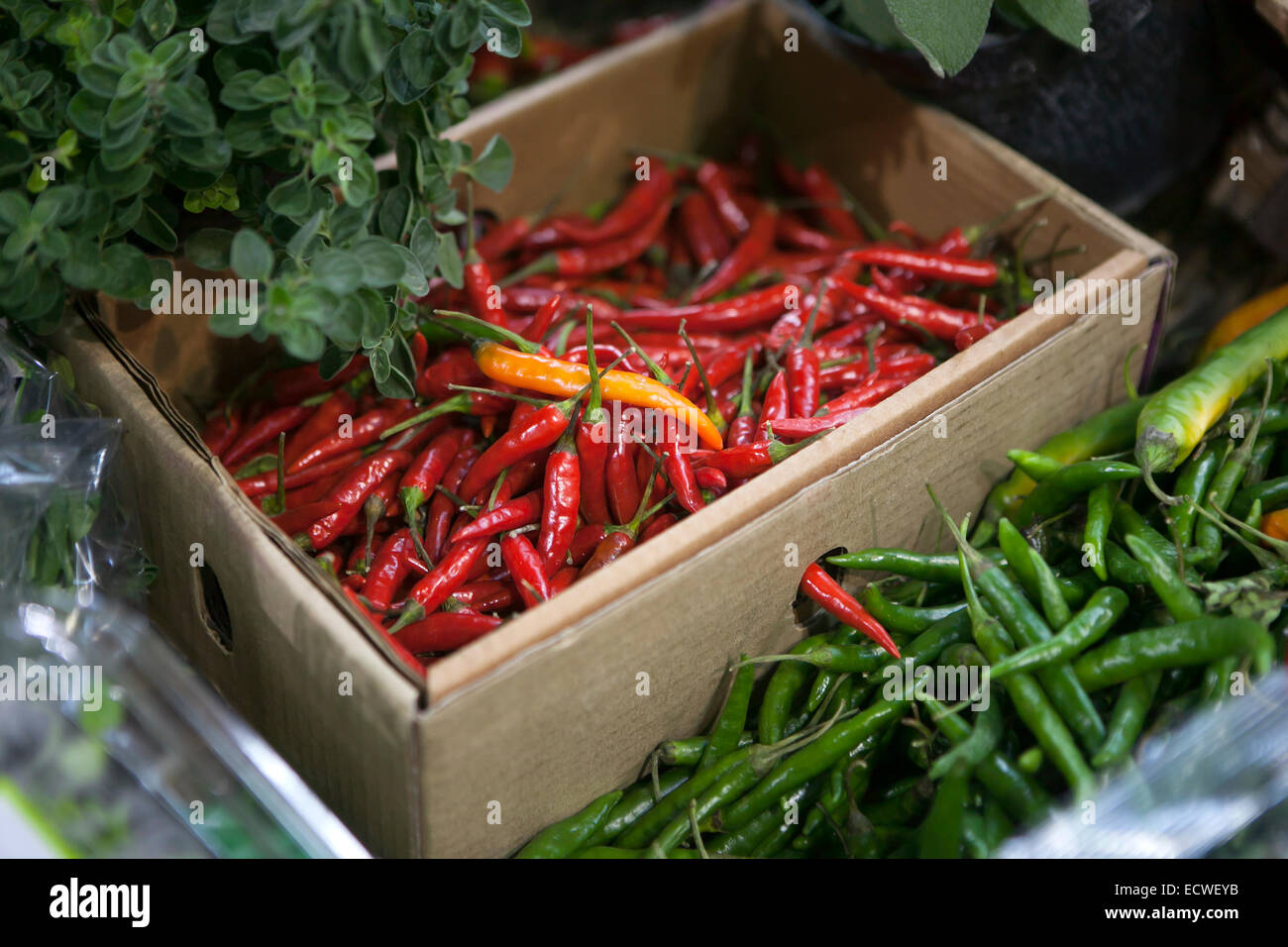 Dried red chilli PEPPER in box , food ingredient Stock Photo - Alamy