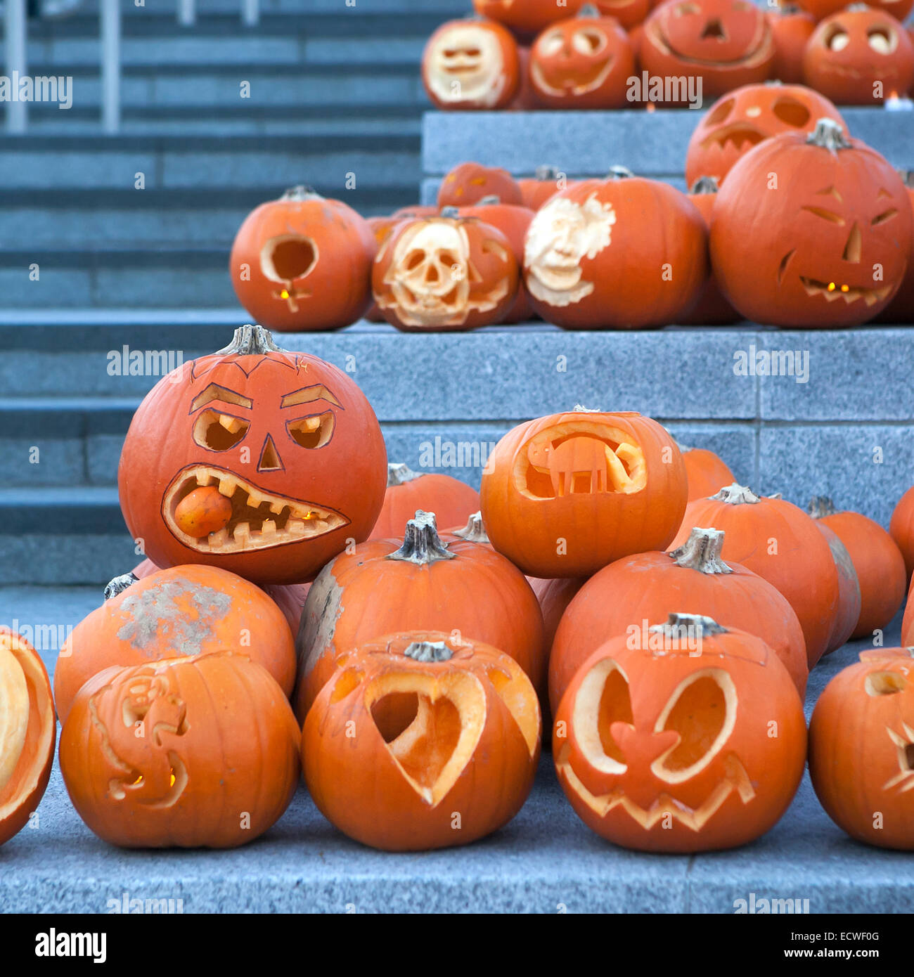 pumpkin of the Halloween Pumpkin Stock Photo - Alamy
