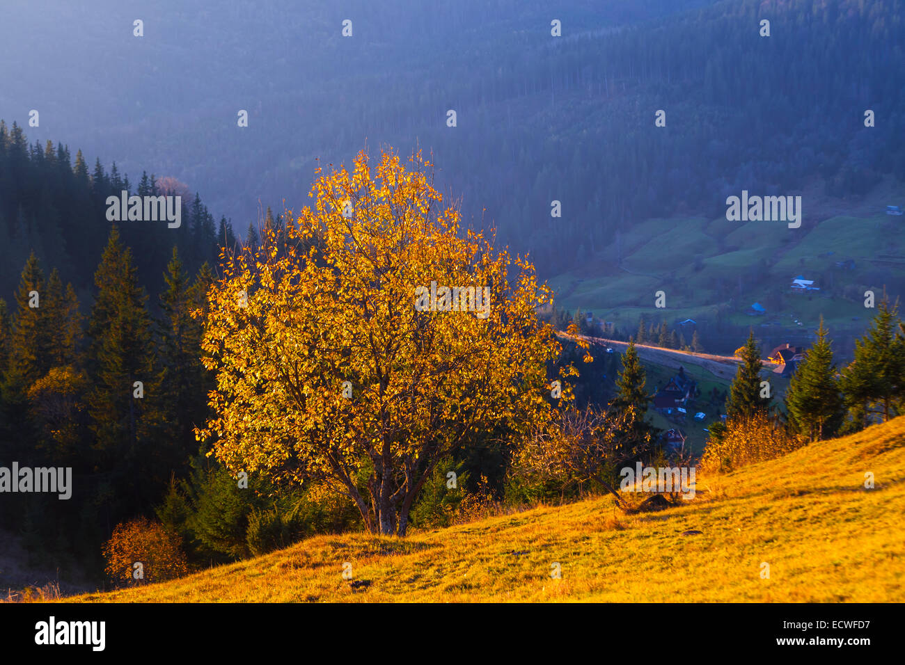 Gg park hi-res stock photography and images - Alamy