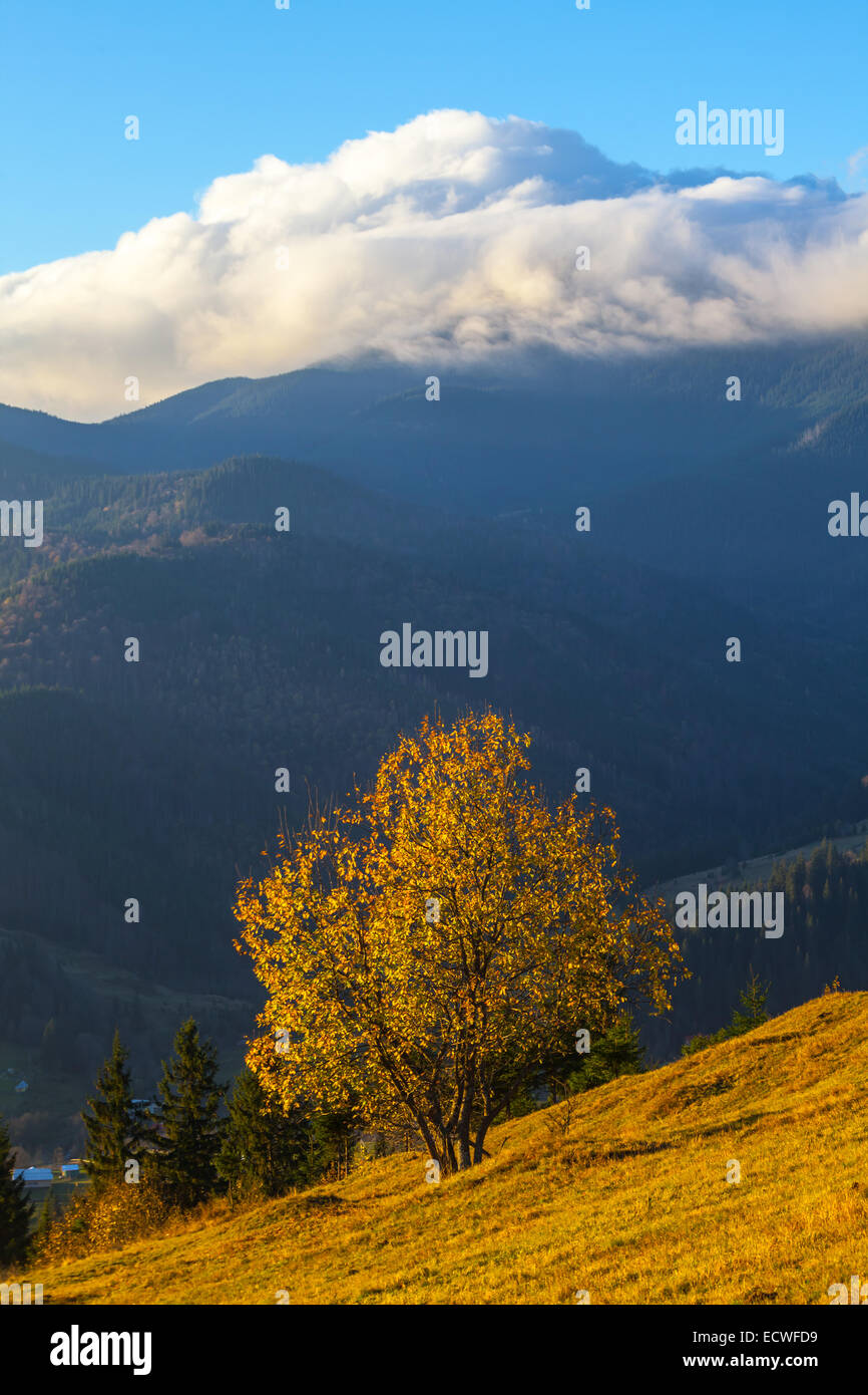 Gg park hi-res stock photography and images - Alamy