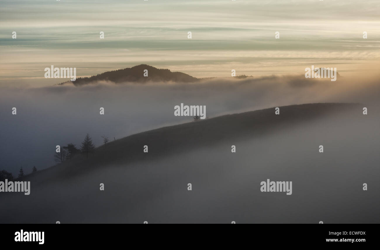 highland vegetation modest summer and unusually beautiful colors blooms ...