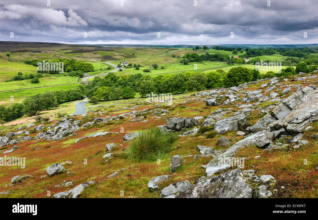 North York Moors National Park in spring showing the undulating ...