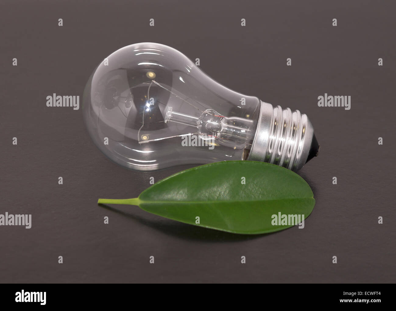 Light bulb and green leaf on a dark background Stock Photo - Alamy