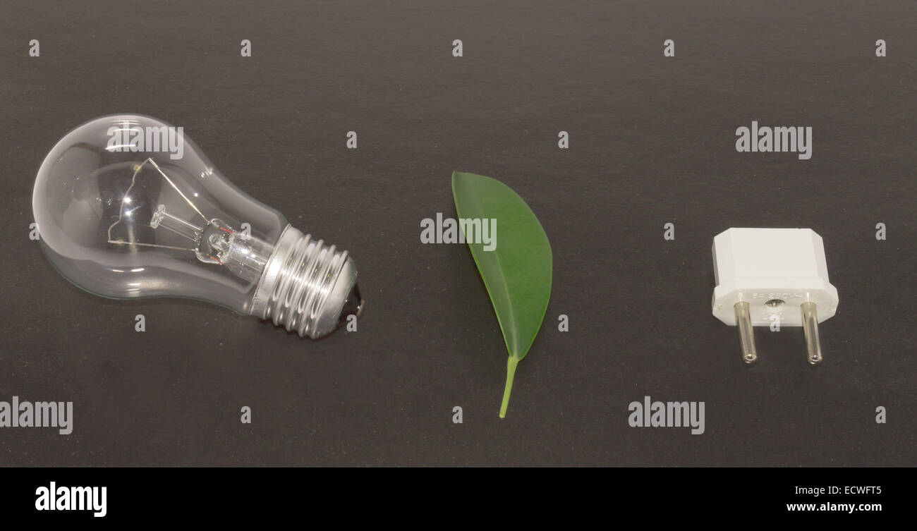 Light bulb, leaf and adapter on a dark background Stock Photo - Alamy