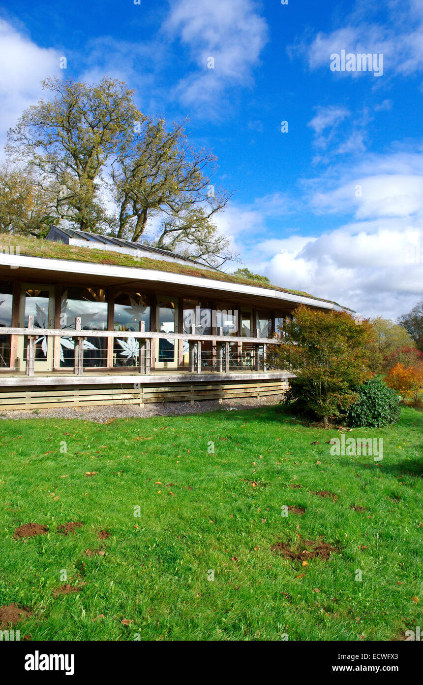 Maples Restaurant, Westonbirt National Arboretum, Gloucestershire ...