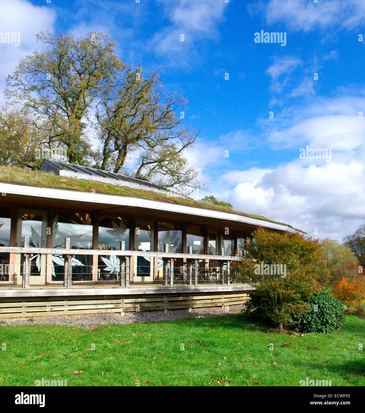 Maples Restaurant, Westonbirt National Arboretum, Gloucestershire ...