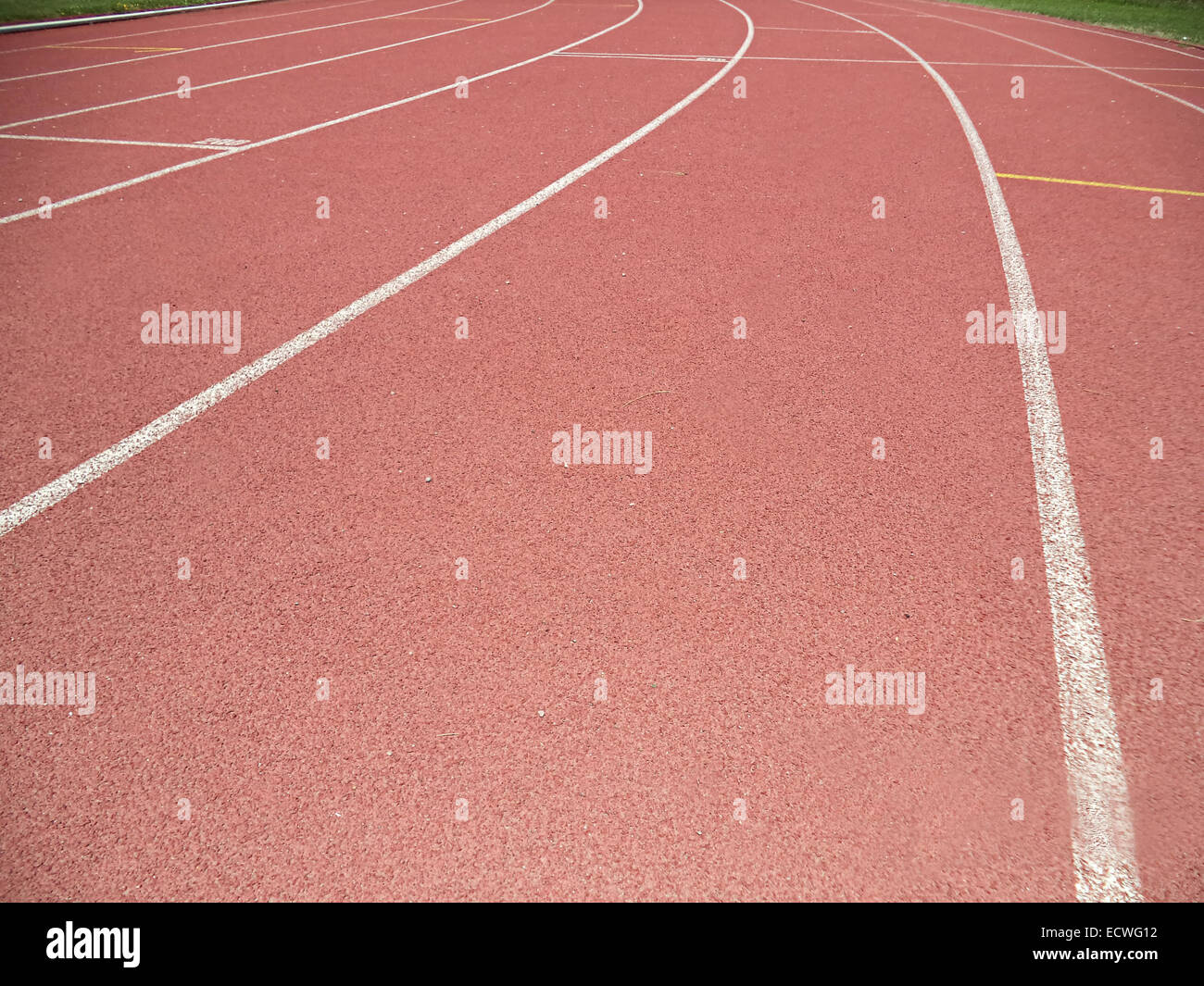 Red running track with lines Stock Photo - Alamy