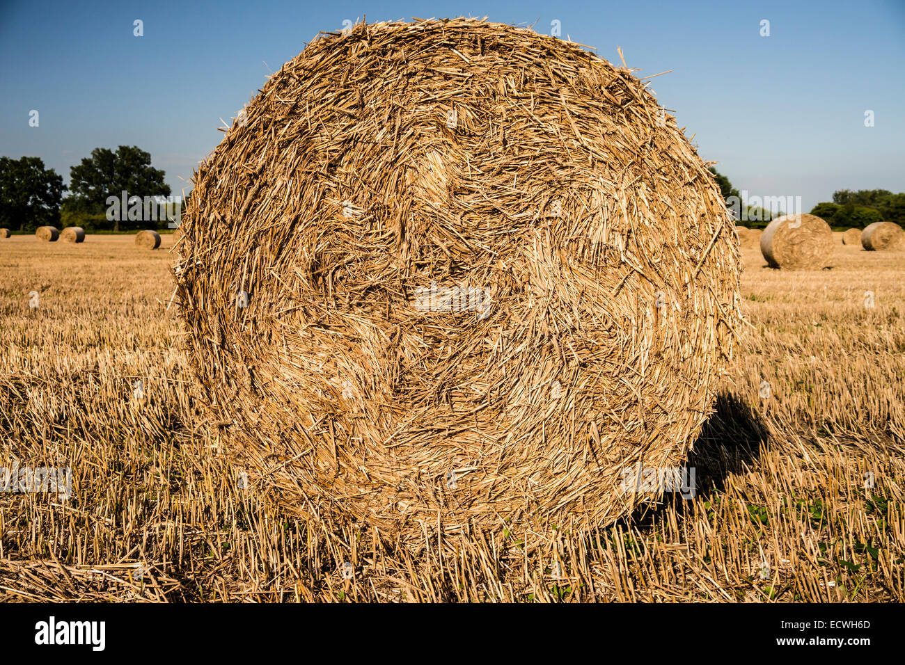 Straw Bale Stacks High Resolution Stock Photography and Images - Alamy