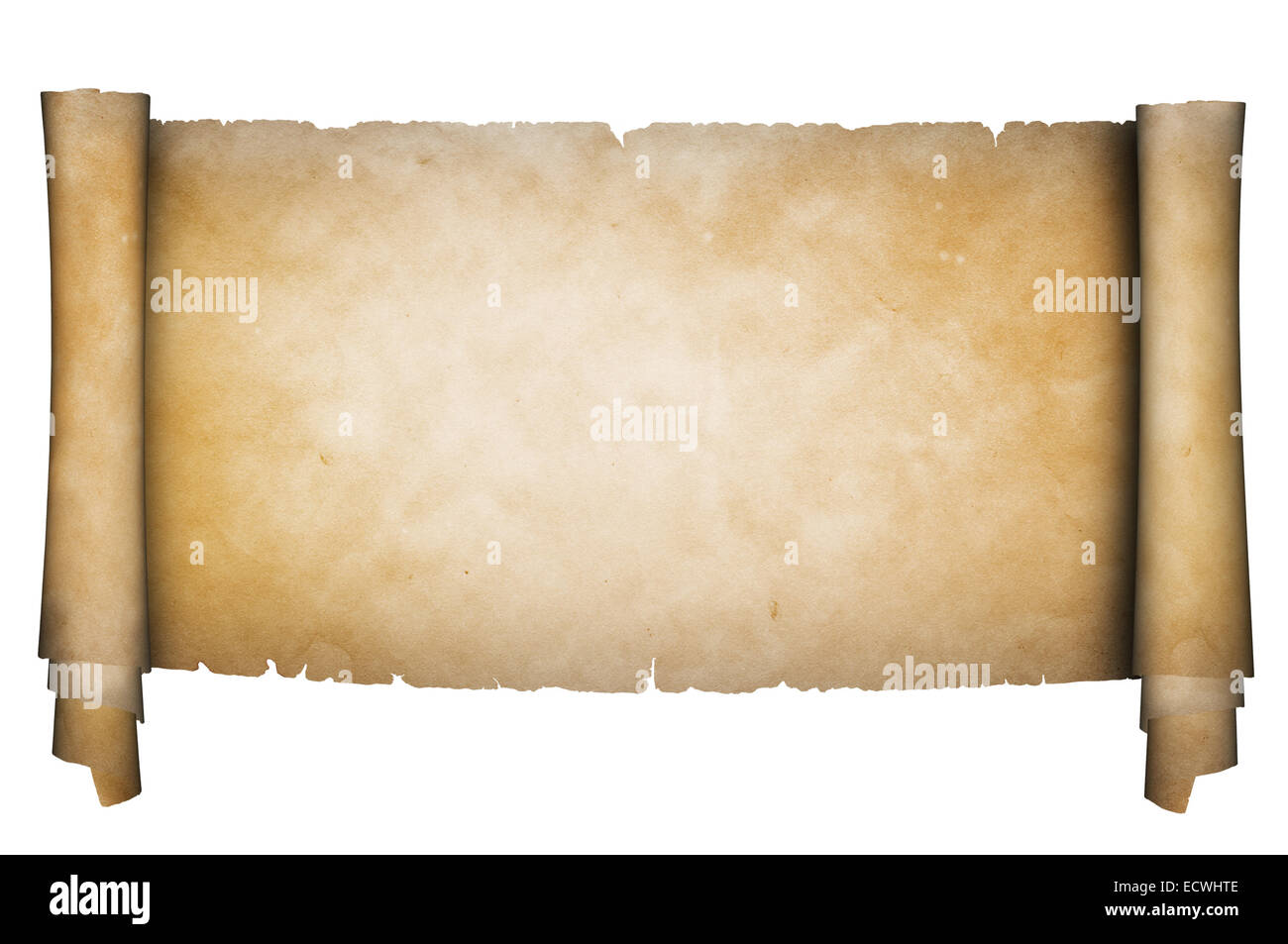Scroll of medieval parchment on white background Stock Photo - Alamy