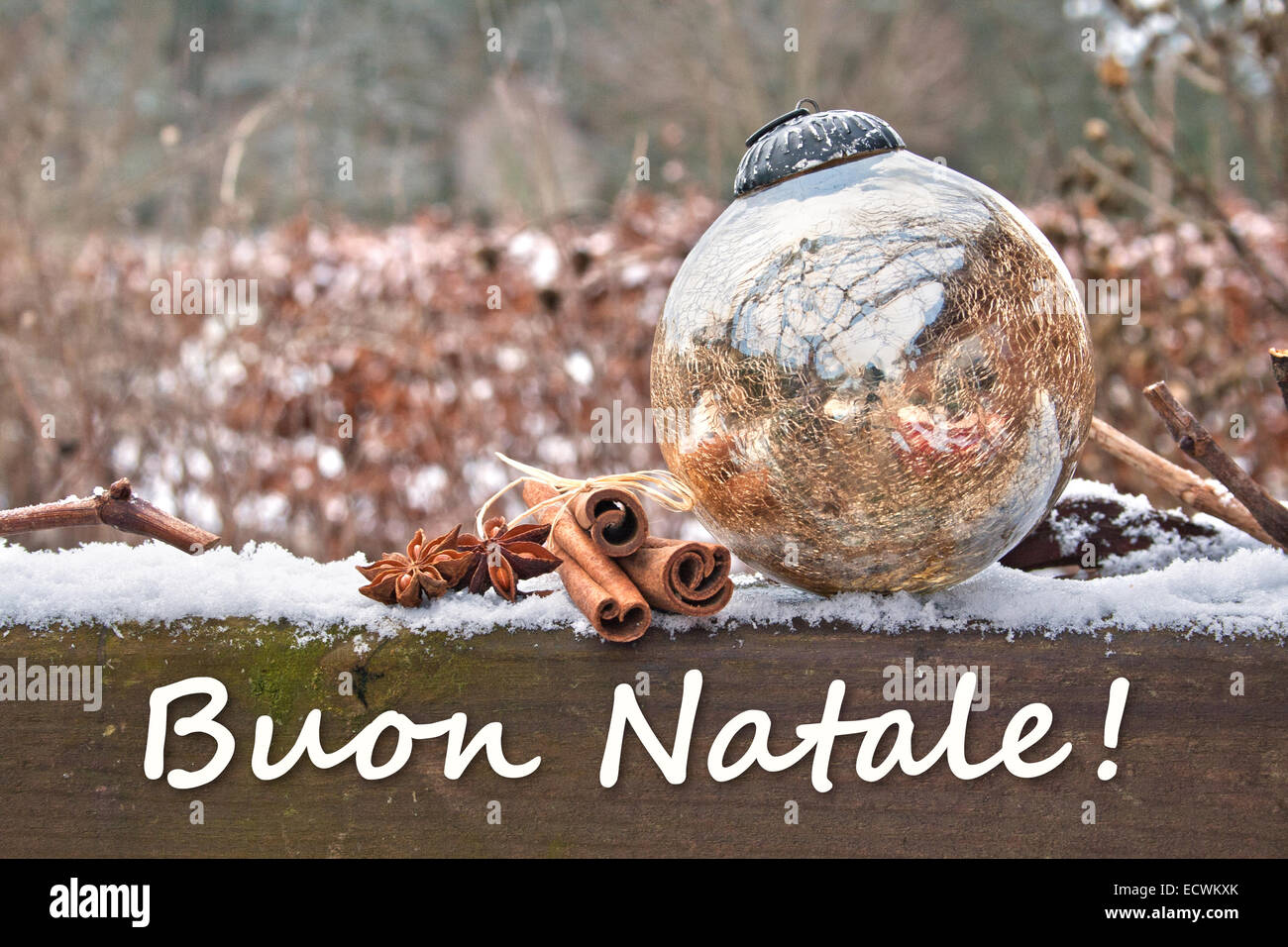 Italian christmas card christmas tree hi-res stock photography and ...