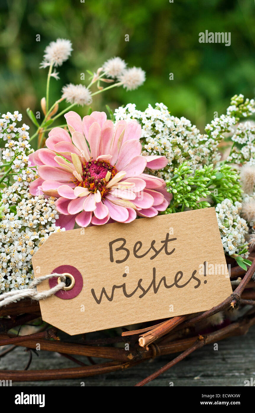 English greeting card with pink flowers Stock Photo - Alamy