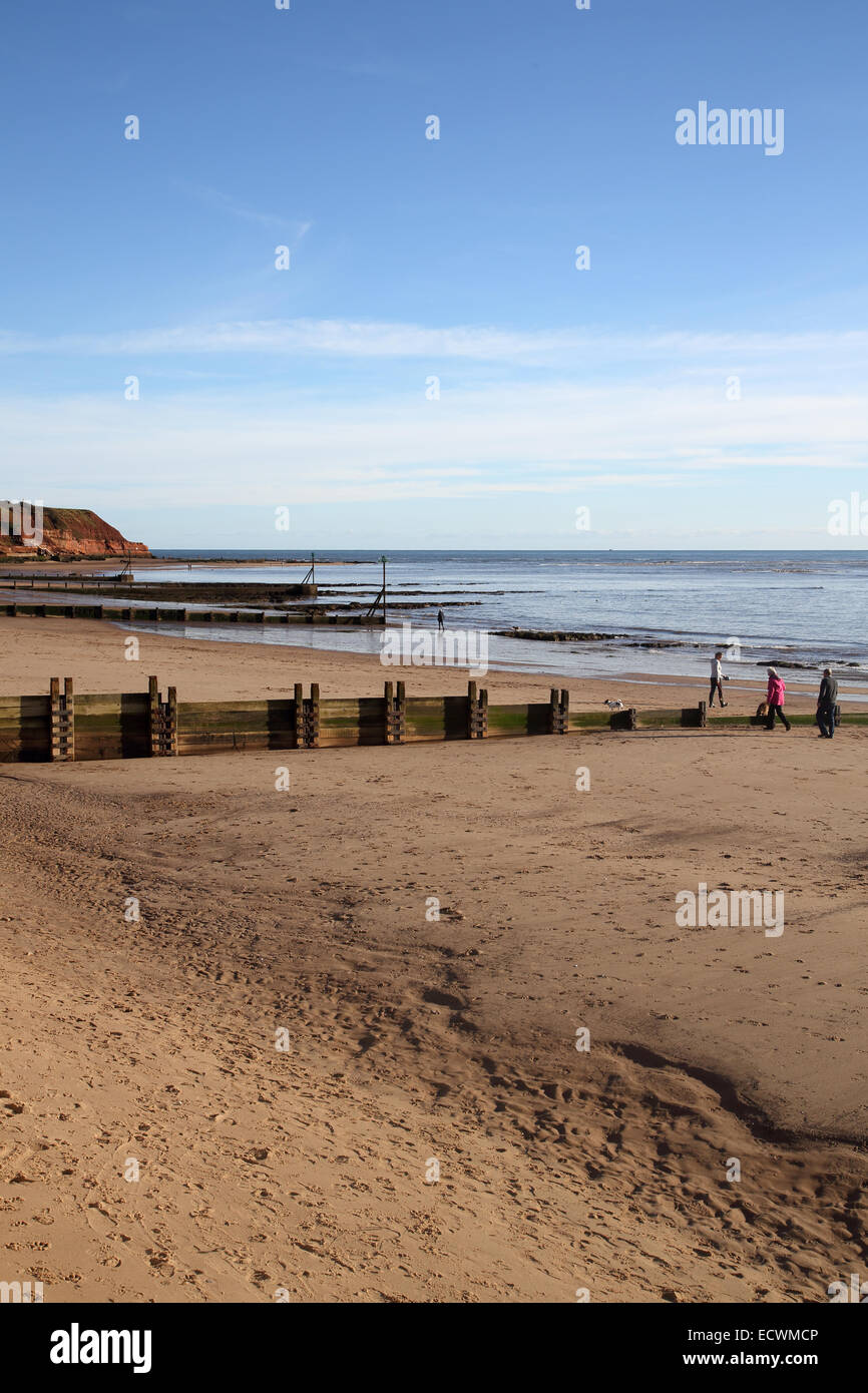 Exmouth seafront coastline hi-res stock photography and images - Alamy