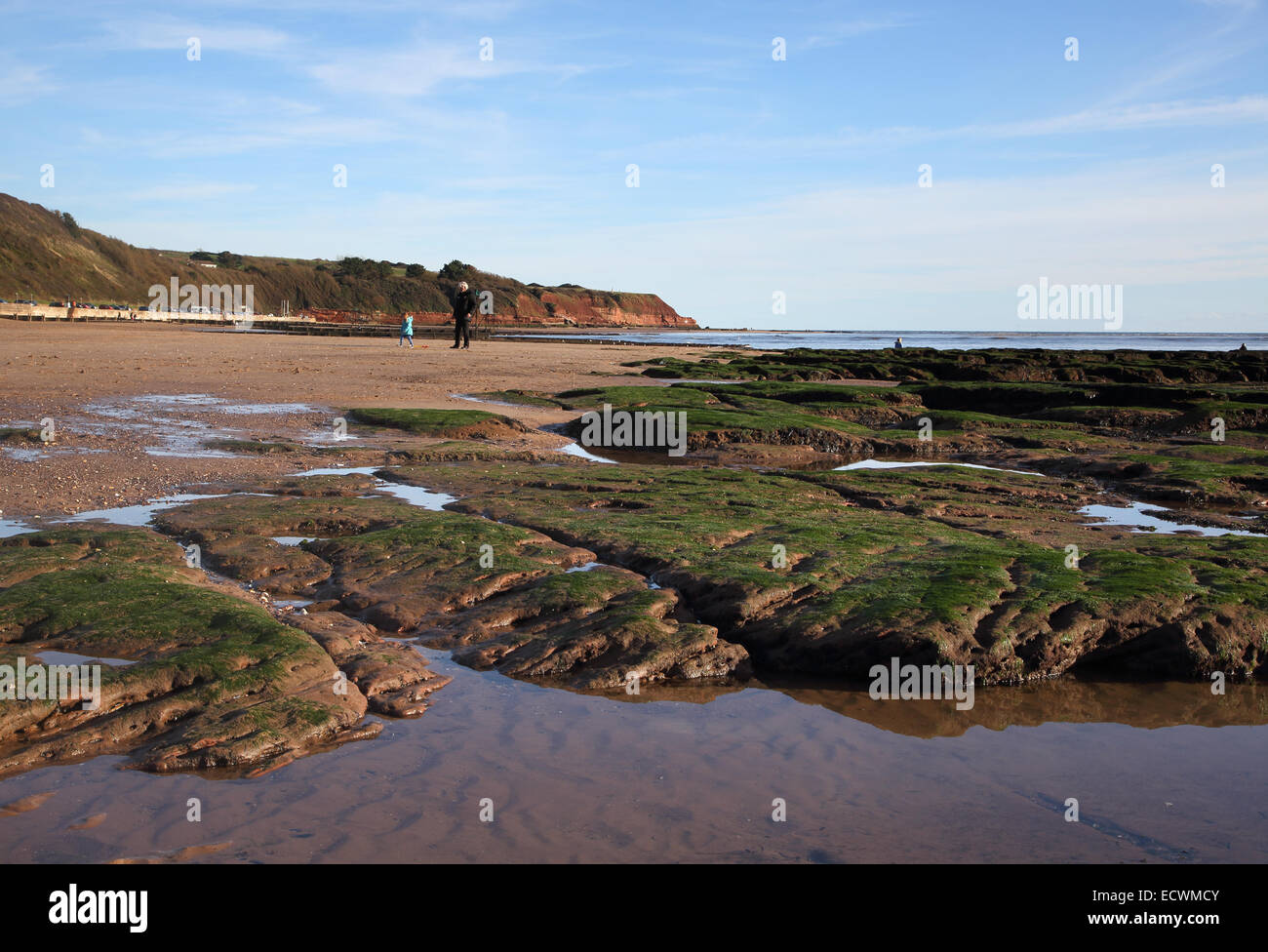 rock pools at exmouth on the south devon coast Stock Photo - Alamy