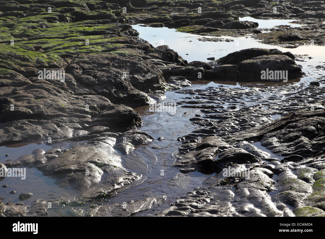 rock pools at exmouth on the south devon coast Stock Photo - Alamy