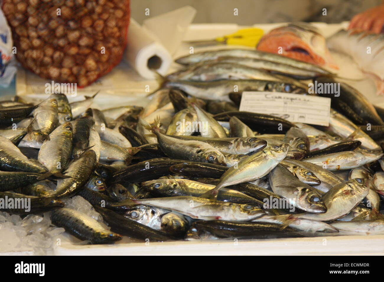 Batois hi-res stock photography and images - Alamy