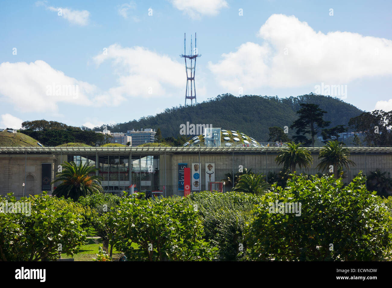 California Academy of Sciences San Francisco CA Stock Photo - Alamy