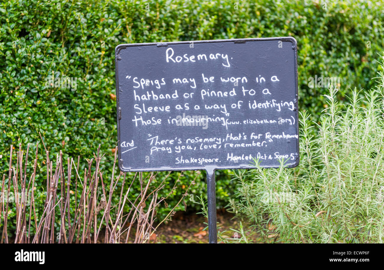 A hand written sign for Rosemary, an herbal plant and its uses in the ...