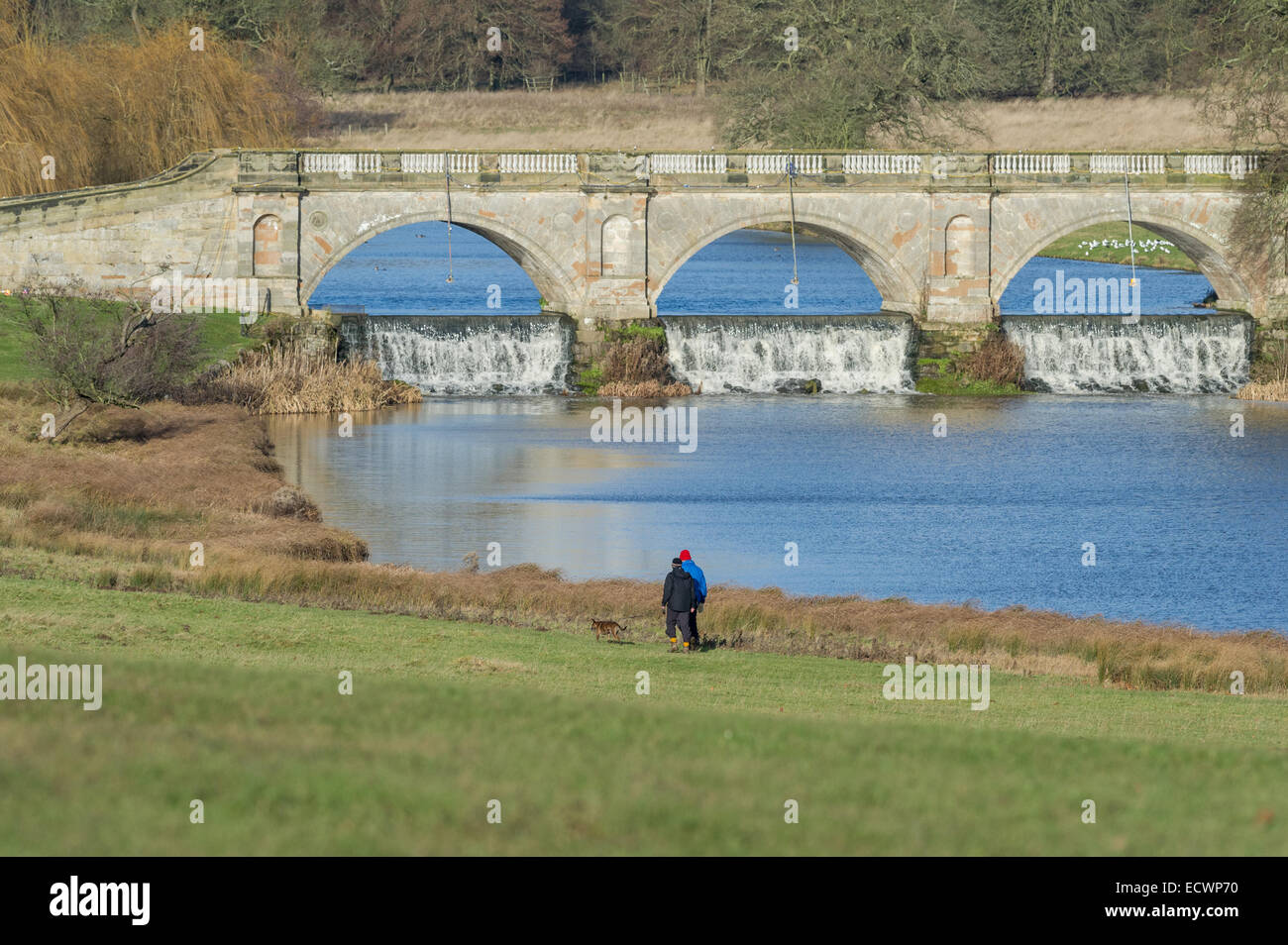 Walking dog bridge High Resolution Stock Photography and Images - Alamy