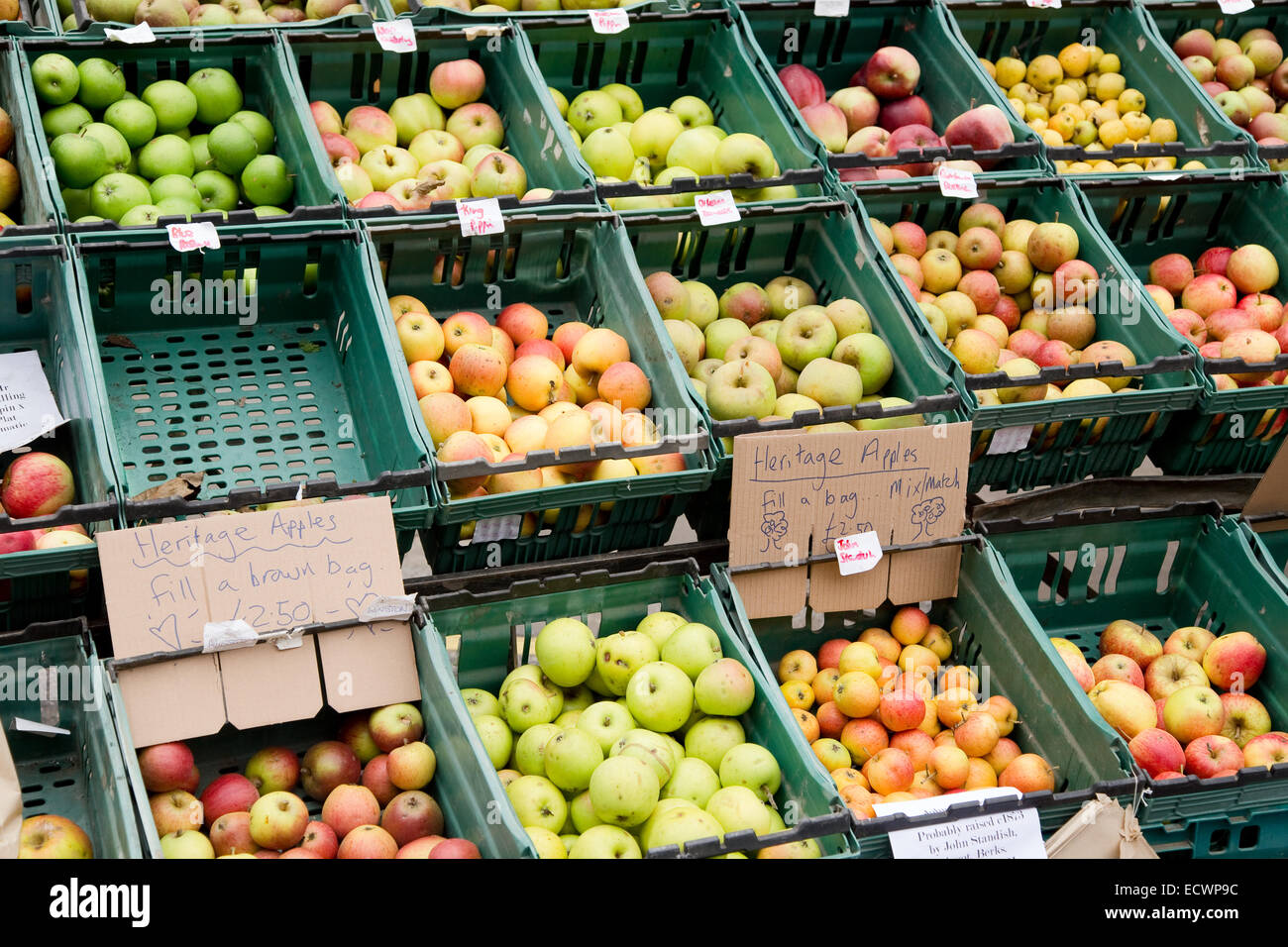 selection of apples Stock Photo - Alamy
