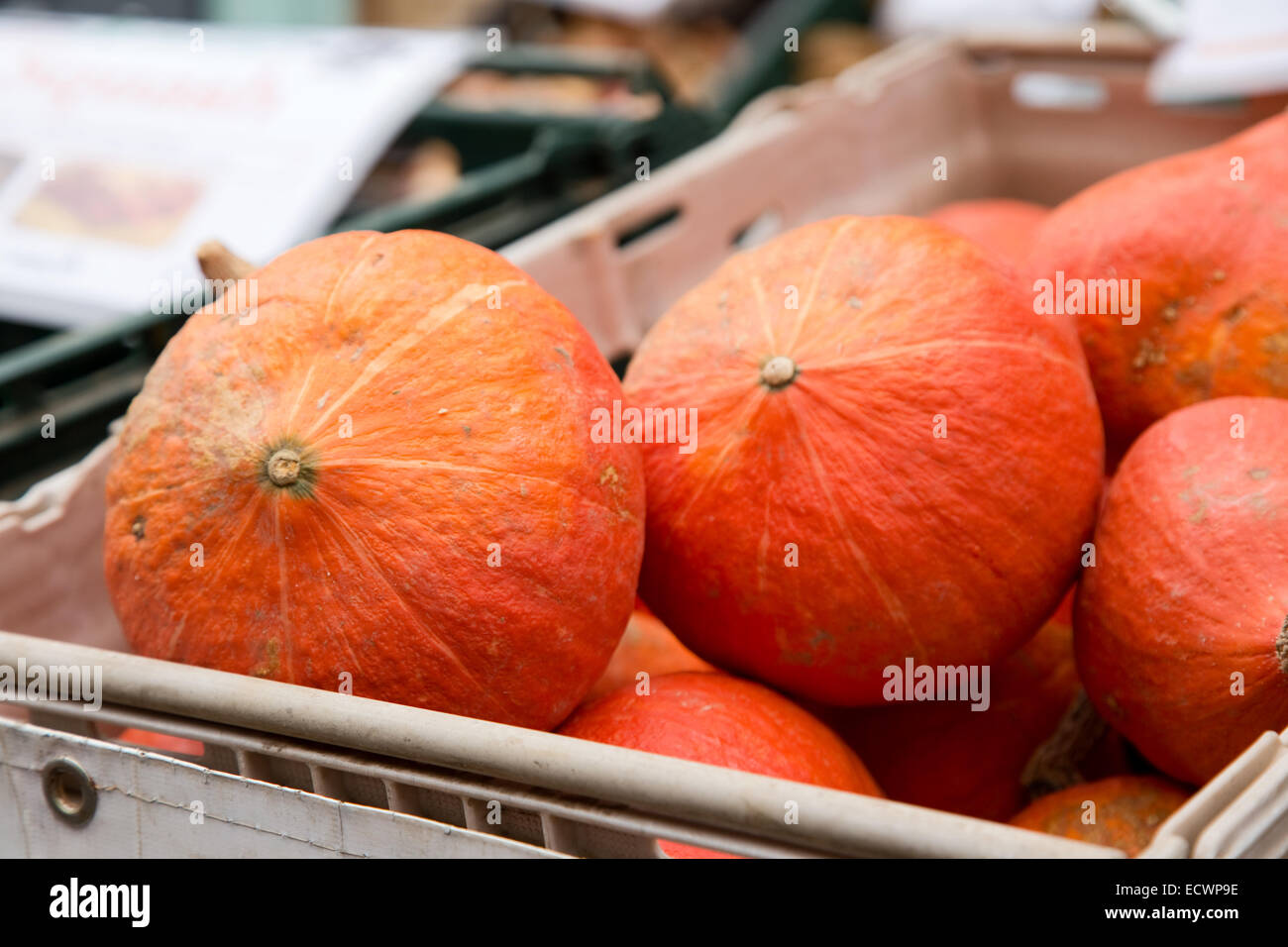 Fresh pumpkin vegetable stall hi-res stock photography and images - Alamy