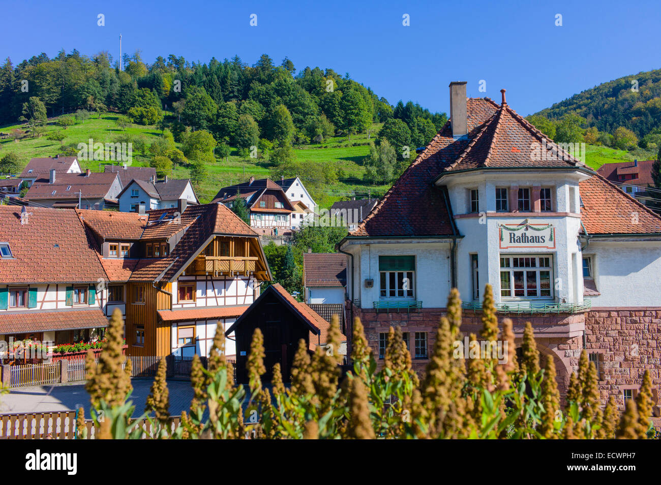 Reichenbach Black Forest Baden-Württemberg Germany Stock Photo - Alamy