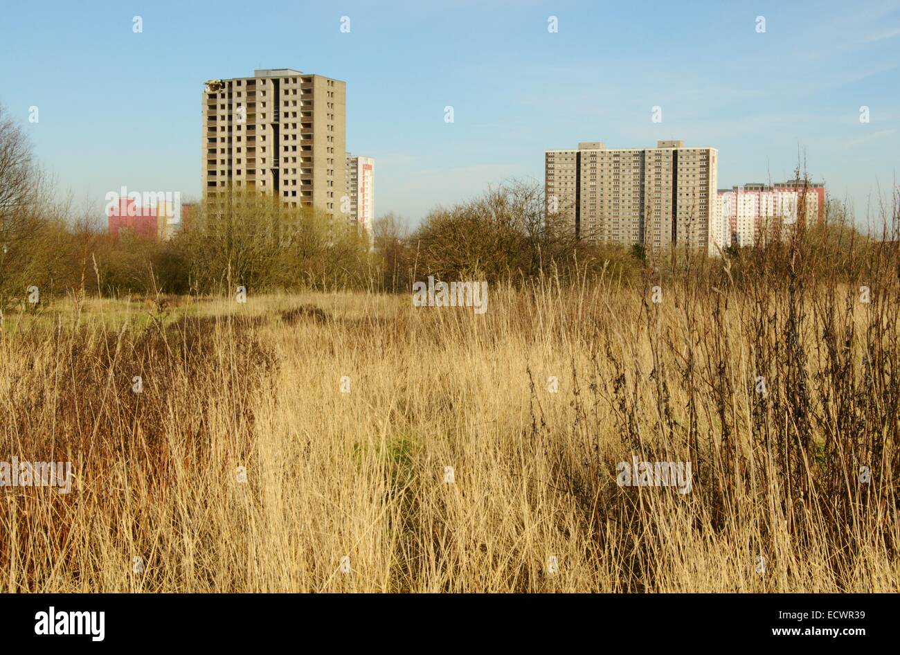 View of tower blocks from sighthill park hi-res stock photography and ...