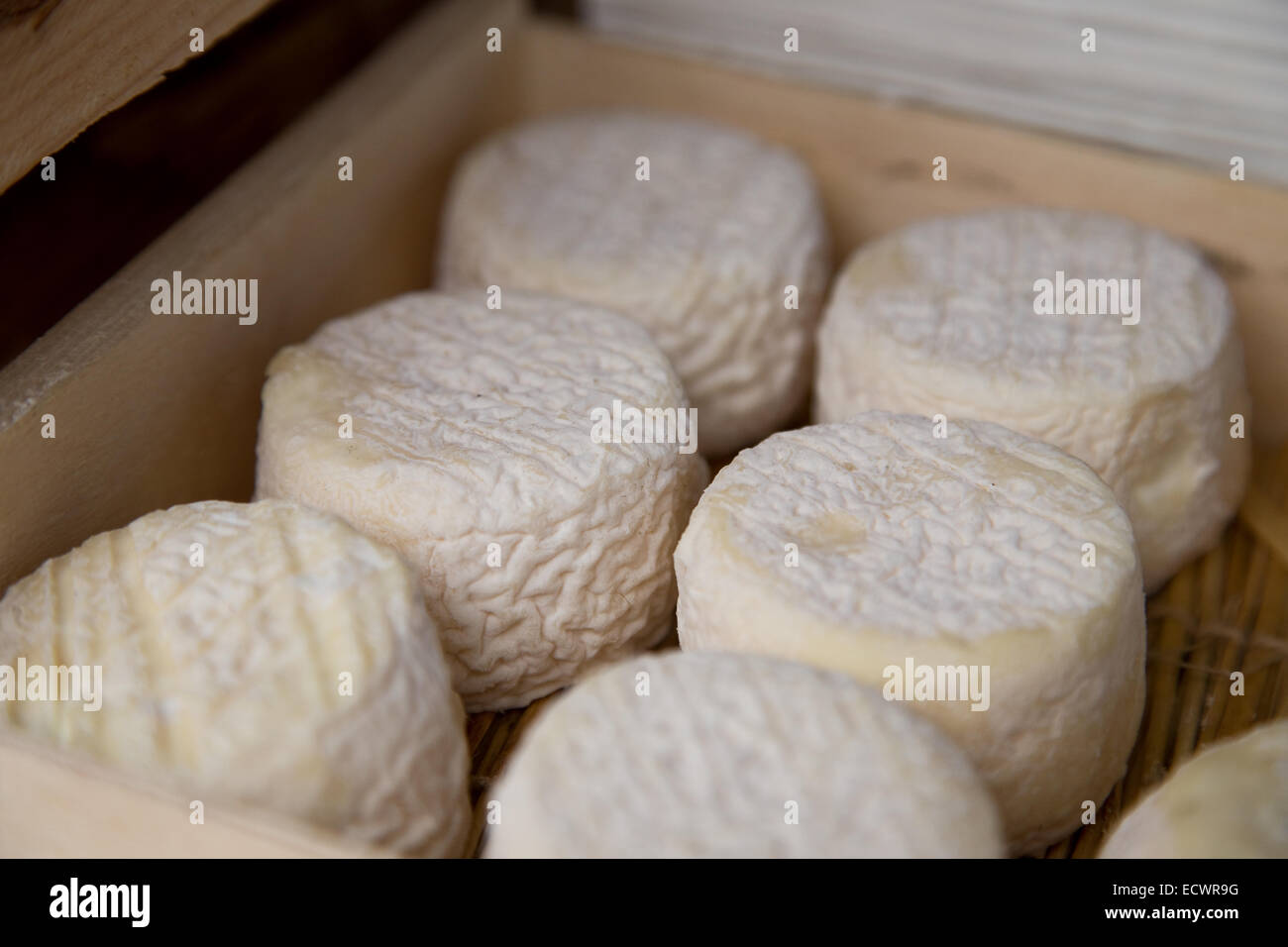 Tasting goats cheese hi-res stock photography and images - Alamy