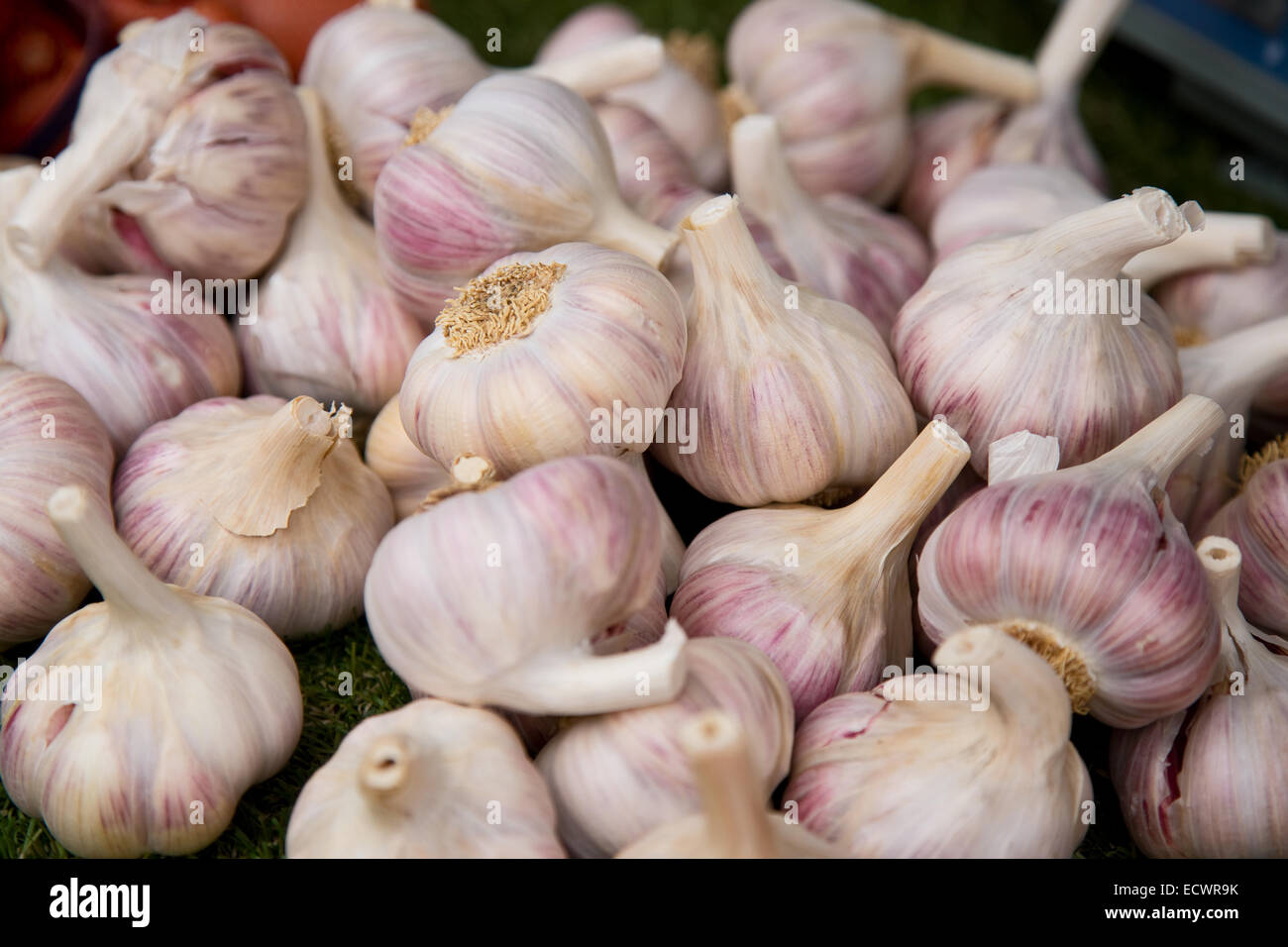 Garlic store hi-res stock photography and images - Alamy