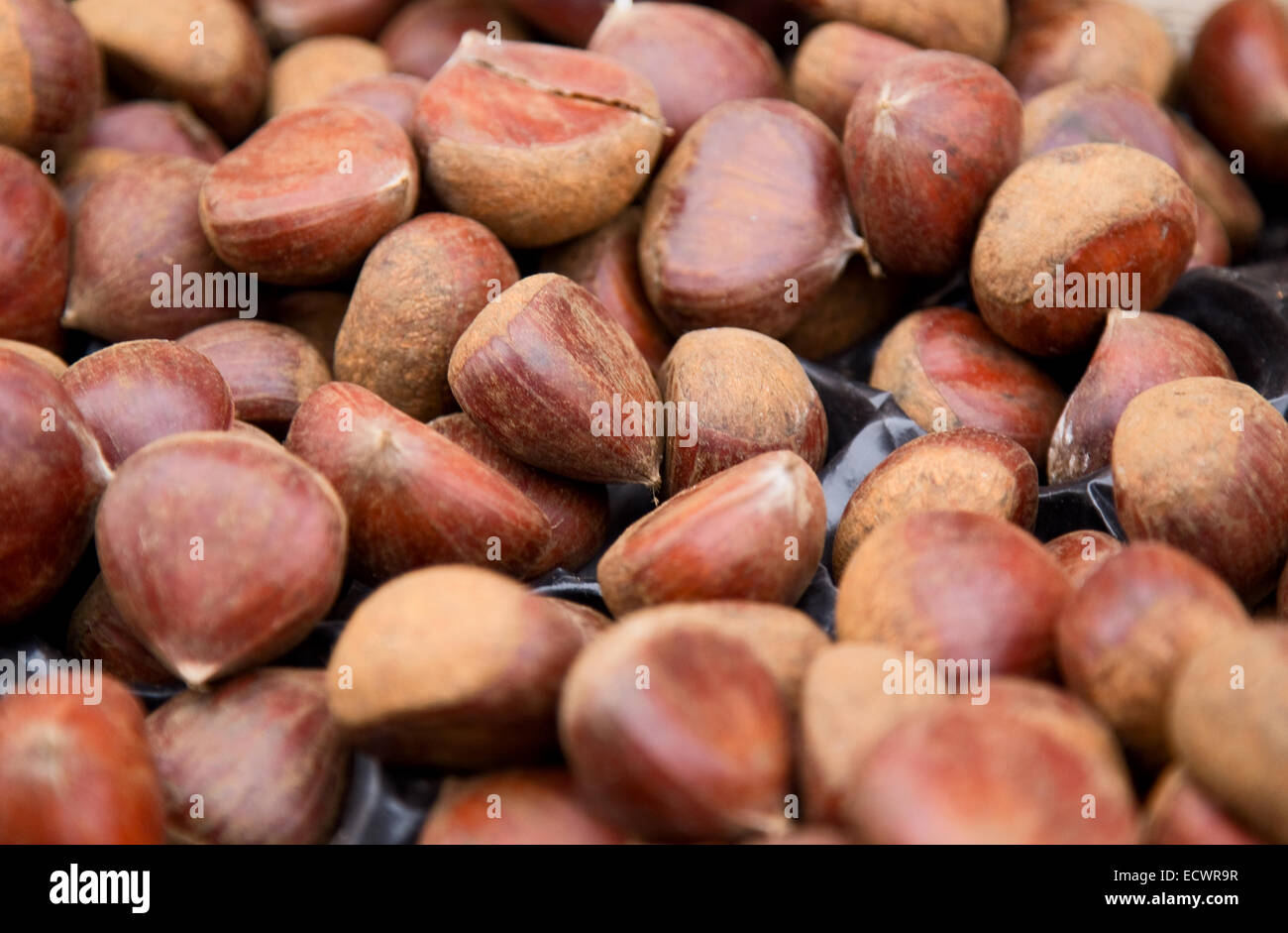 Wild chestnuts hi-res stock photography and images - Alamy