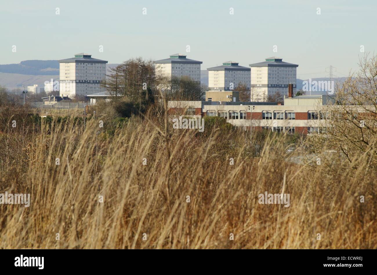 View of tower blocks from Sighthill Park in Glasgow, Scotland Stock ...