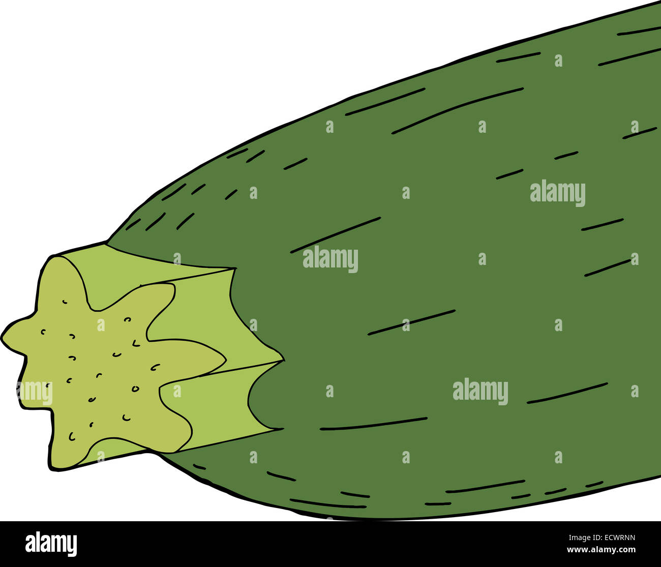 Close up of hand drawn cartoon zucchini over white Stock Photo - Alamy