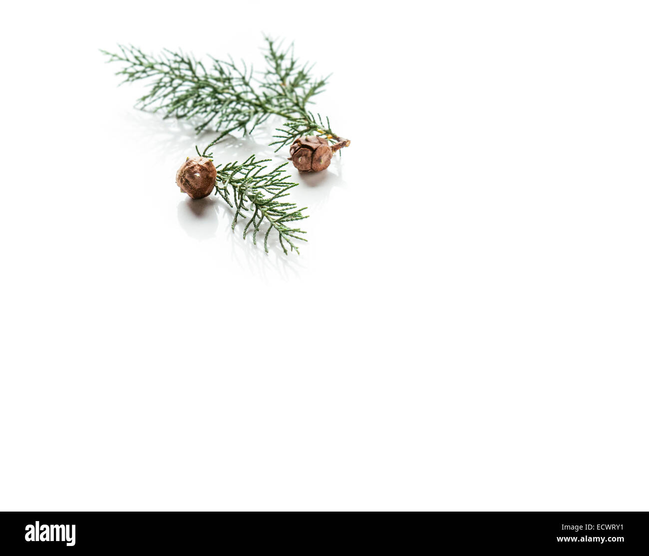 Christmas greeting Cut Out Stock Images & Pictures - Alamy